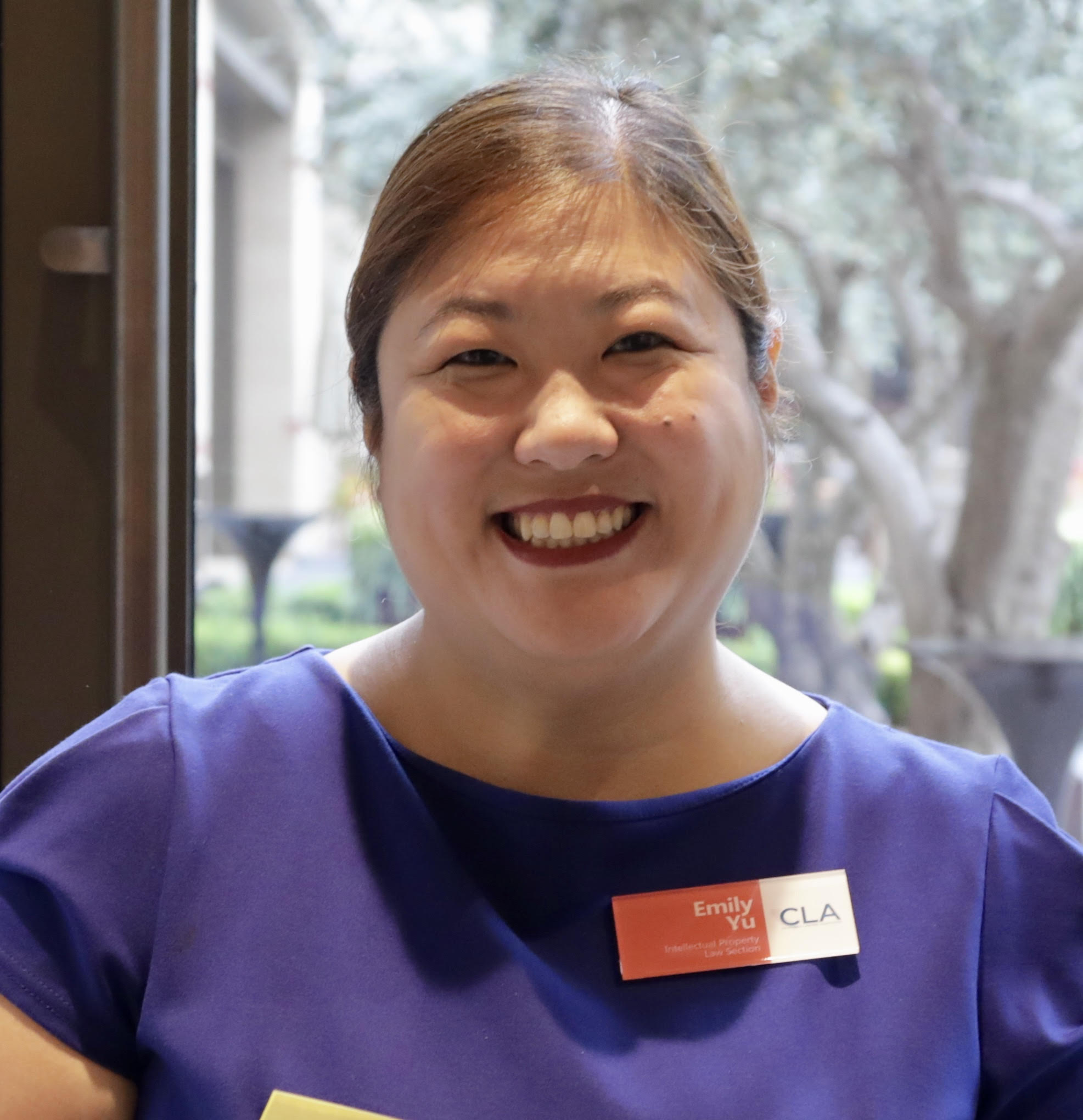 Podcast: Emily Yu on Privacy and the Future of the IP Law Section ...